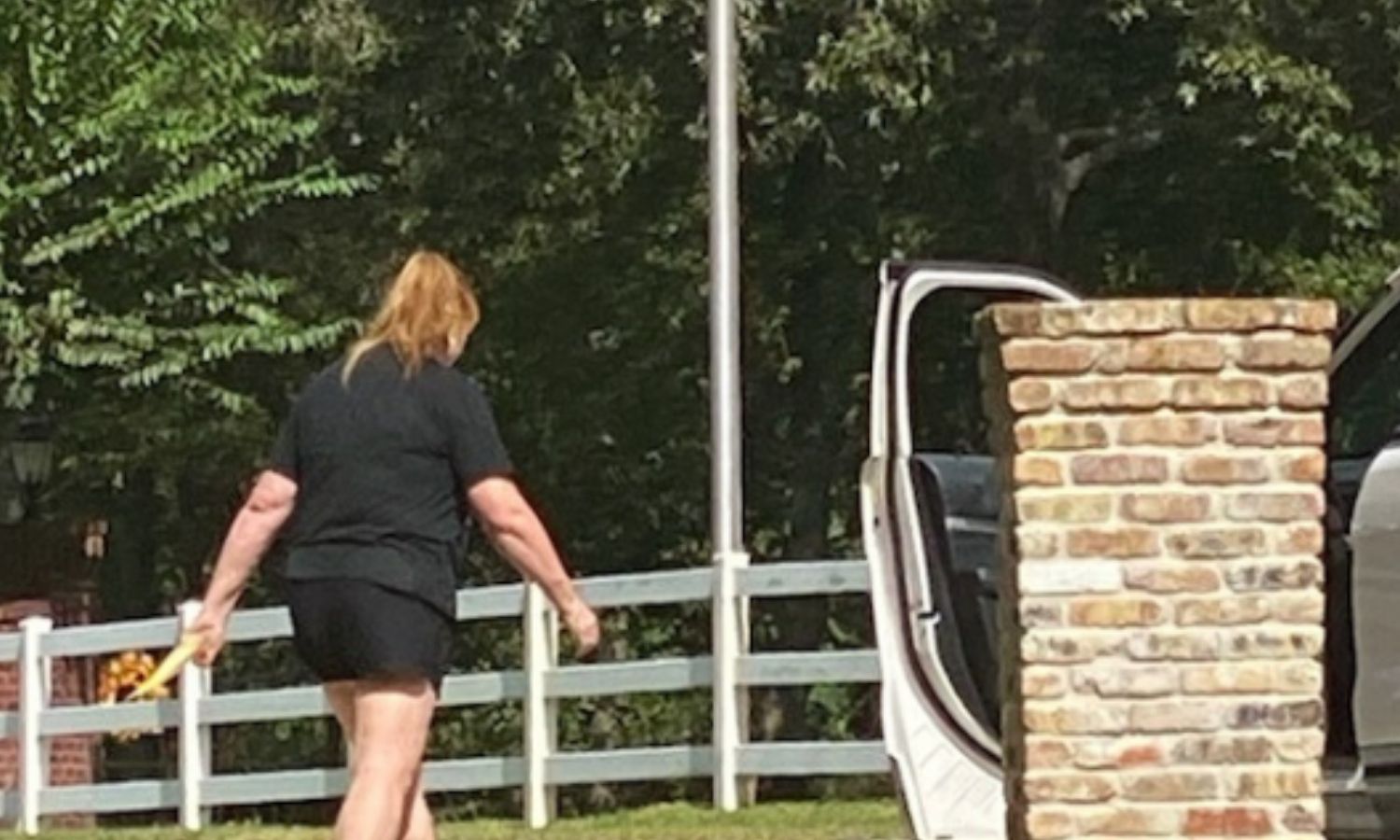 Ginger | Charlie Riley